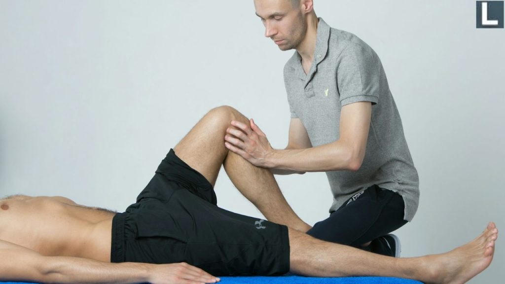 What Does a Chiropractor Do? A Beginner’s Guide to Chiropractic Care